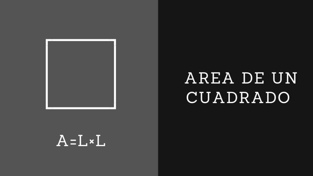 Área de un Cuadrado (Formula y Ejercicios resueltos) - SoloCiencias