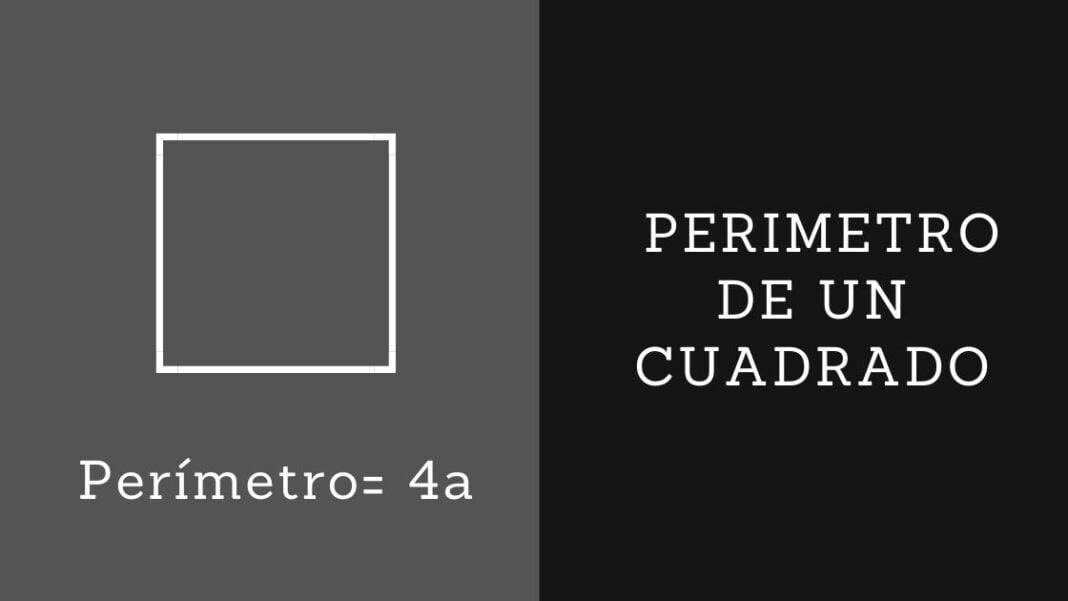 Perímetro de un Cuadrado (Formula y Ejercicios Resueltos) - SoloCiencias